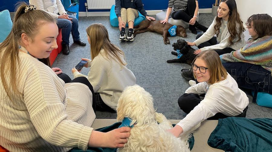The Benefits of Spending Time with Dogs in the Office - Moment to Paws