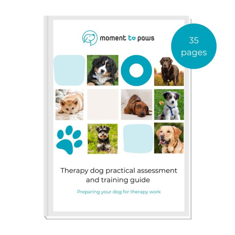 Therapy Dog Assessment & Training Guide | Moment to Paws