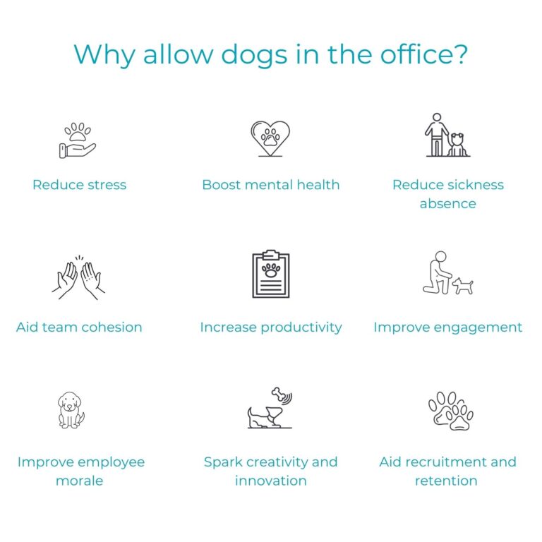 How To Create A Dog Friendly Office | Toolkit | Moment to Paws